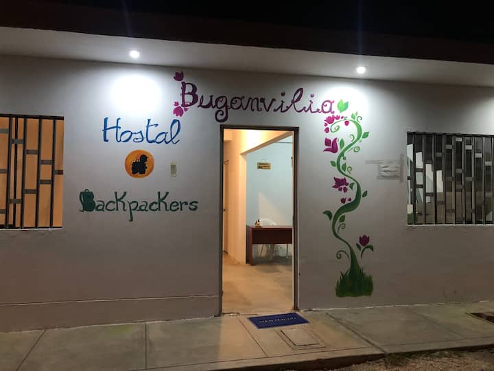 Buganvilia - Paracas