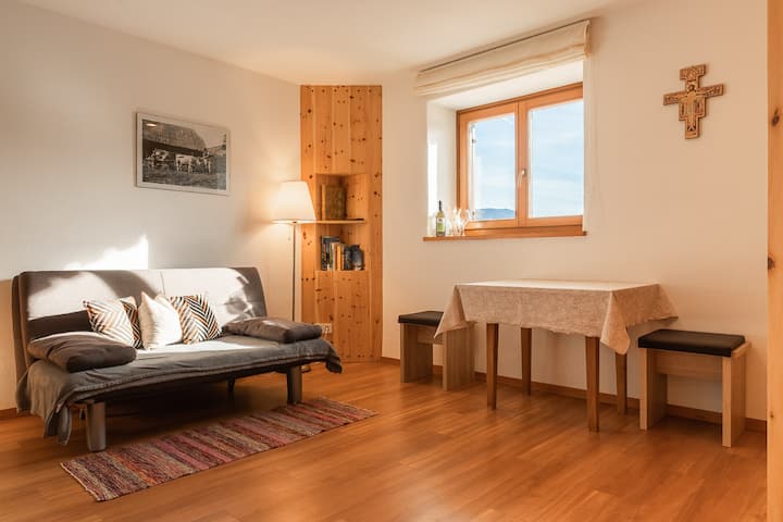 Apartment Latemar - Bolzano