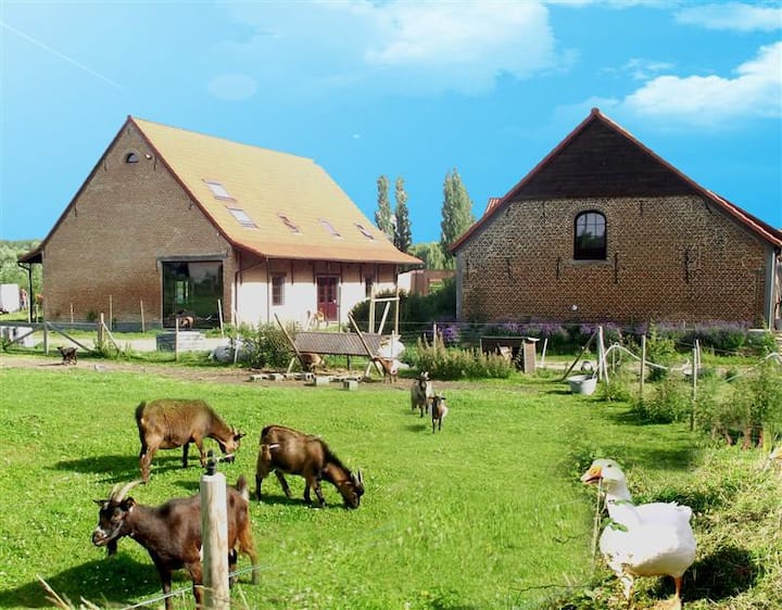 Tomorrowland  6 Pers Farm House - Boom