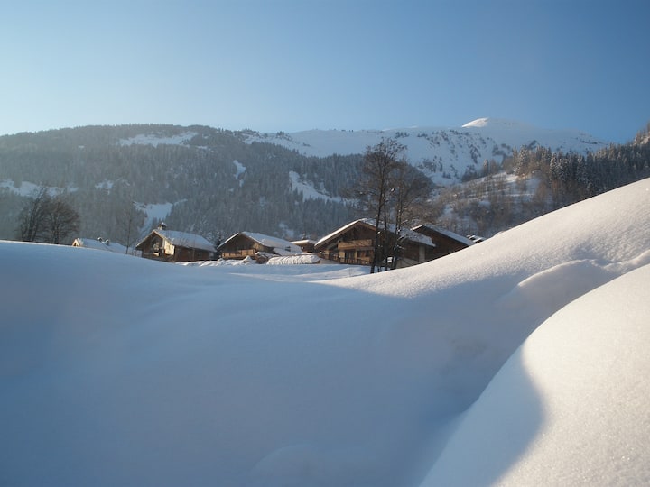 Joli Appartement Au Coeur De La Vanoise-la Plagne - Champagny-en-Vanoise