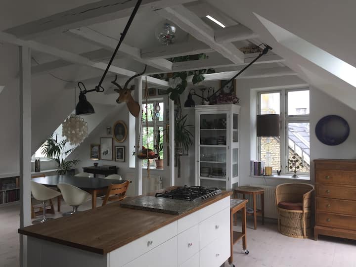 Sunny 3 Bedrooms Penthouse - Copenhagen