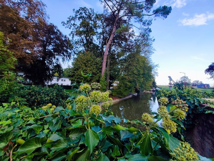 L'appart' Cosy Du Château Dans Un Parc Boisé - Cassel, France