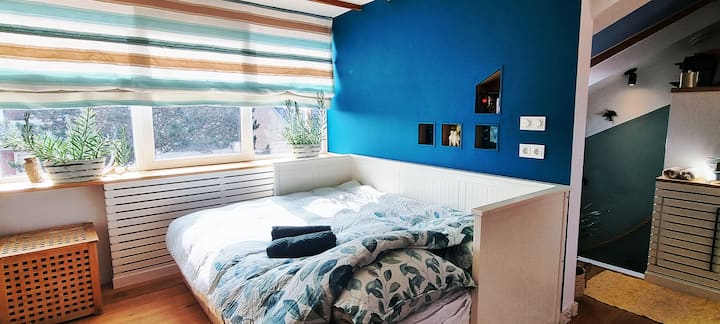 Family House Near Dunes And Sea - Bloemendaal aan Zee