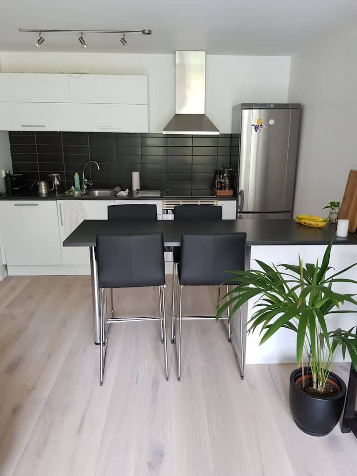 Sentral Leilighet I Kristiansand - Kristiansand