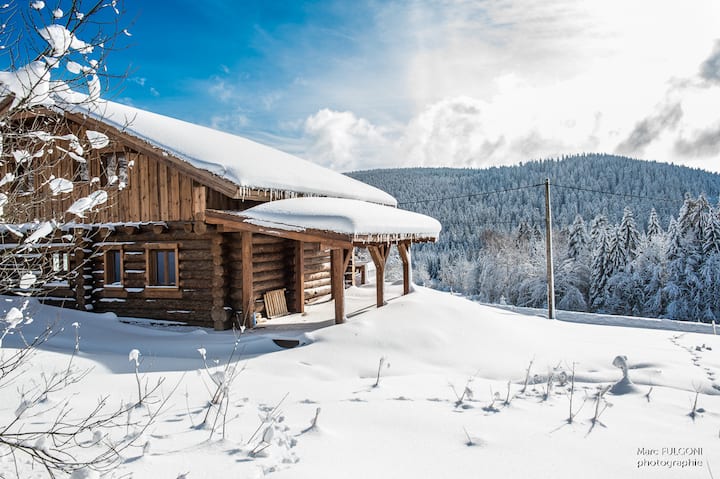 Chalet Serenity Spa&terrasse / 9 P Gérardmer 10mn - Gérardmer