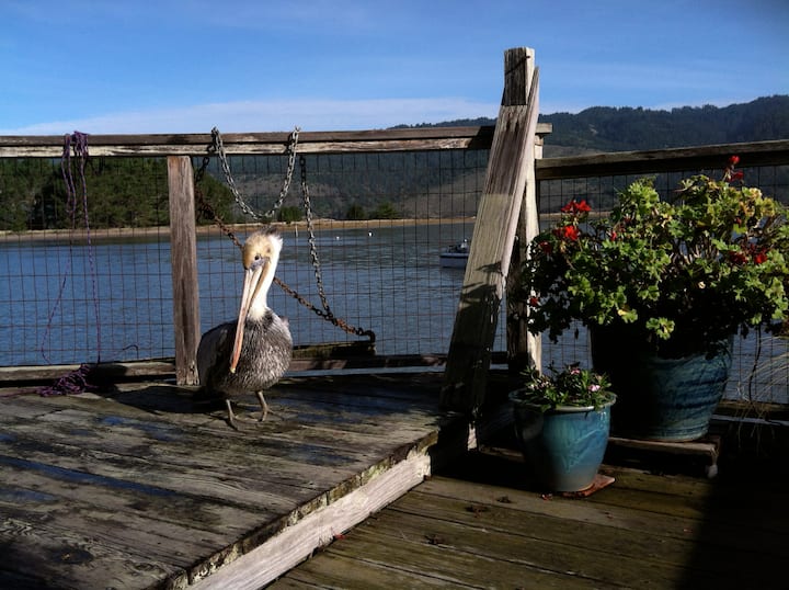 Magical Cottage On Bolinas Lagoon - Bolinas