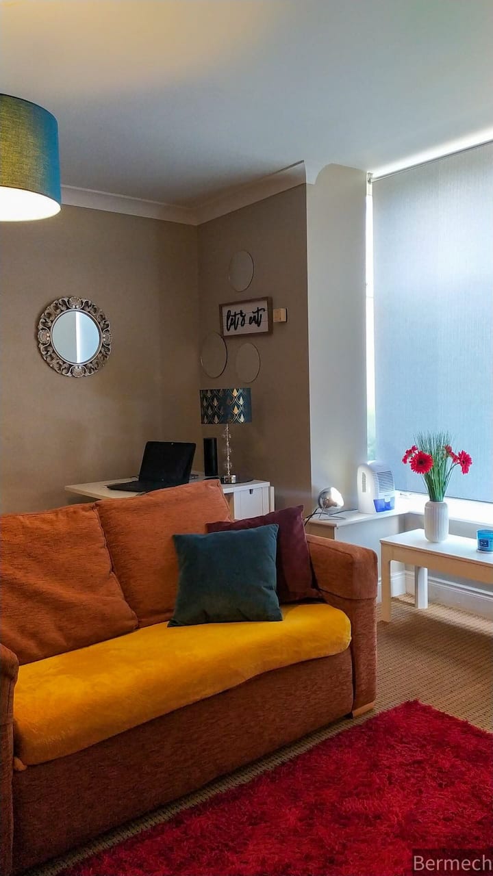 Charming Pheonix Parkside Flat - Dublin