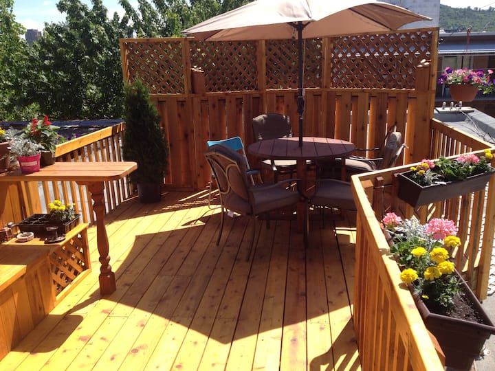 Grand Appartement Lumineux - Montreal