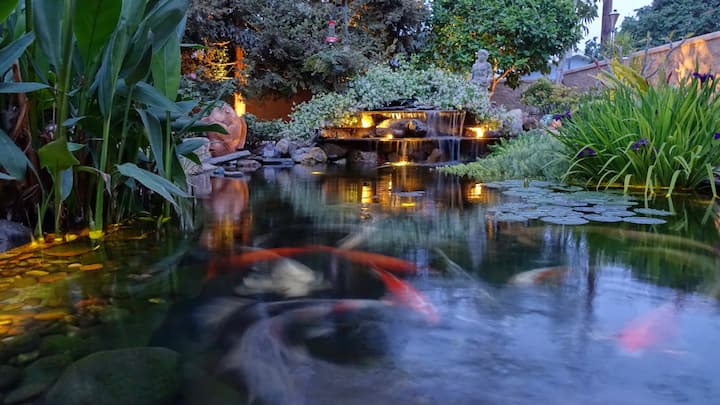 Waterhaven - A Pondside Oasis - San Diego, CA