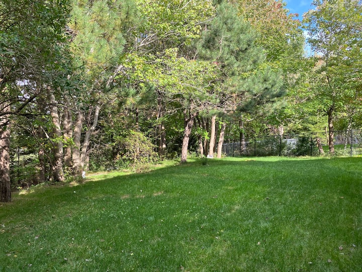 Beautiful, Spacious, Elegant Studio Apartment - Halifax