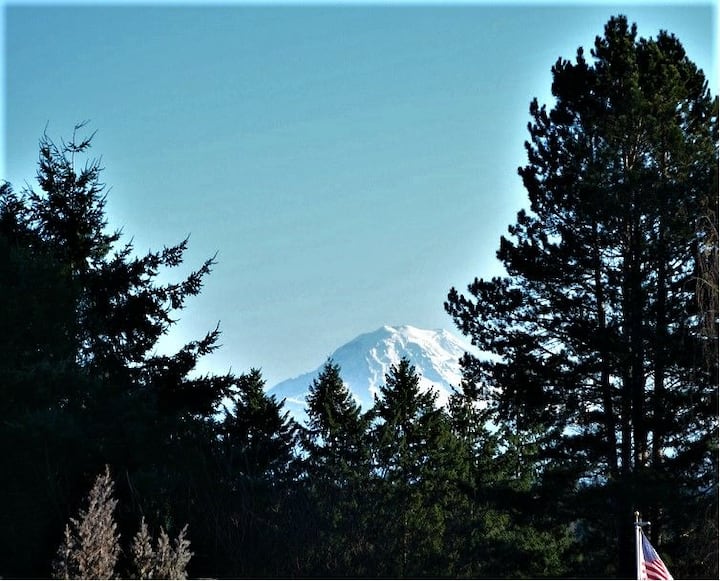 Private Studio, Perfect For Hospital Traveler. - Tacoma, WA