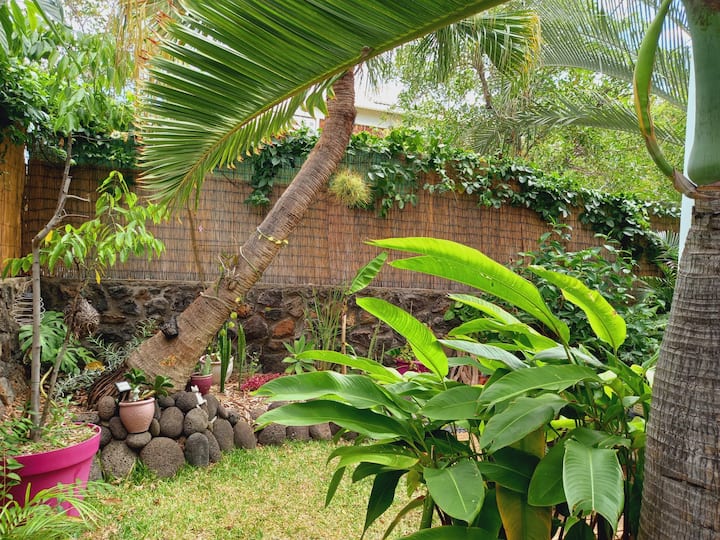 Saint Gilles Les Bains: Superbe Appartement Très Bien Situé En Rez De Jardin. - Saint-Gilles, Réunion