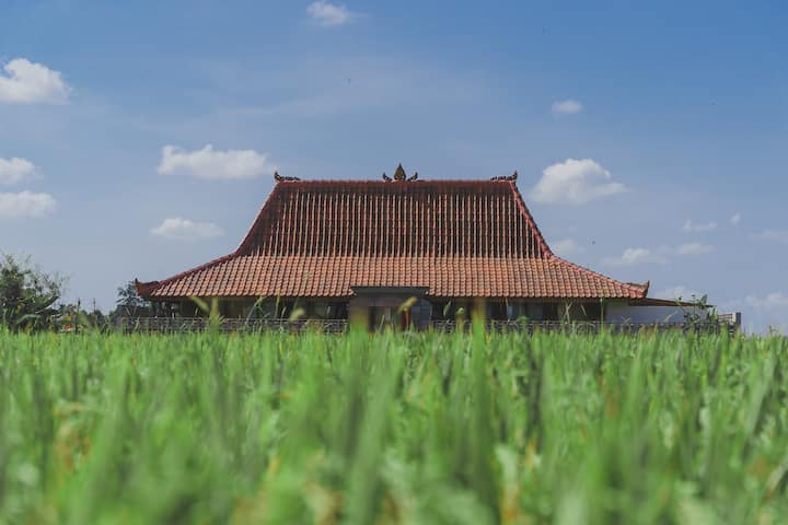 Luxurious 1 Bedroom Home In Lush Ubud Rice Fields - Ubud