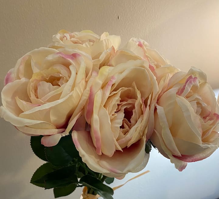 Cozy Urban Garden Apt - Extended Stay Discounts - Dayton, OH