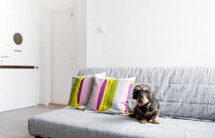 Cool Bauhaus Flat Downtown - Budapest