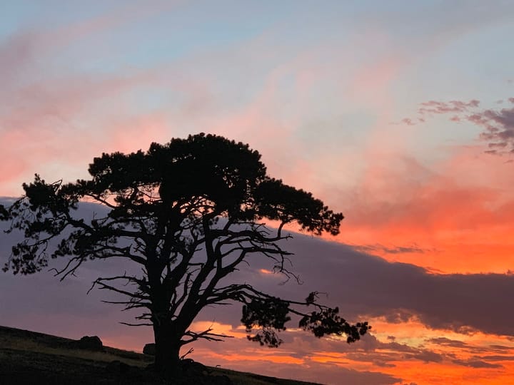 Get Away But Stay Close To Home. - Gisborne, Australia