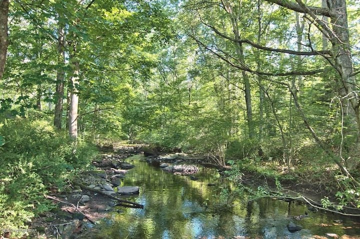 Waterfront/serene/tranquil/farmhouse/hot Tub/games - Tannersville, PA