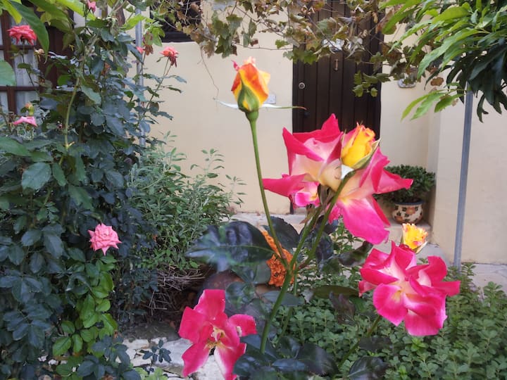 Despina House-vasilion Agrotourism - Нео Хорио