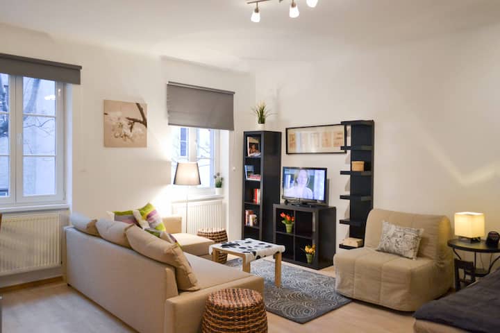 Specious Modern Studio Near The State Opera House - Wien