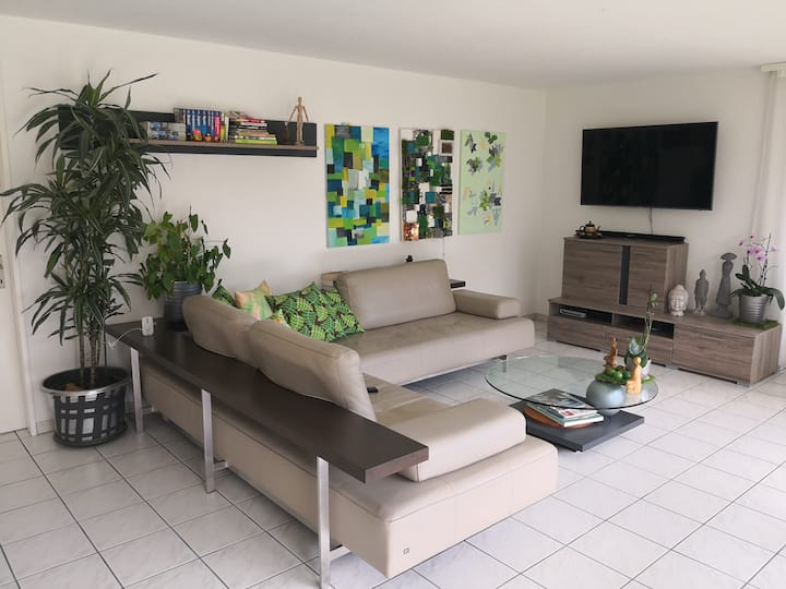 Room In Vaduz - Liechtenstein