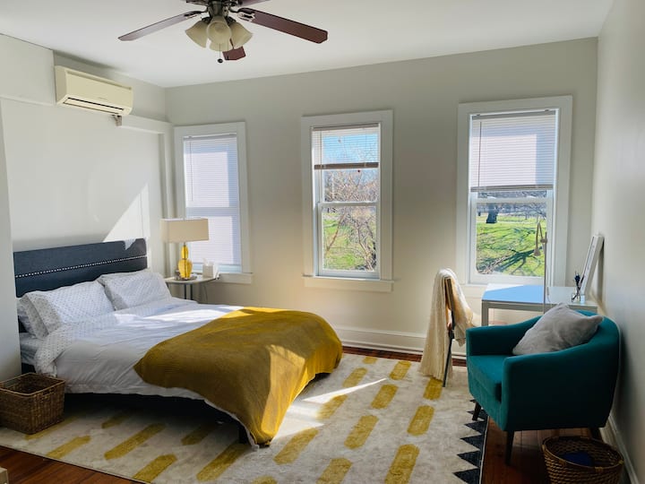 Domino Suite On Park; Walk To Hopkins, Bars, Cafes - Baltimore, MD