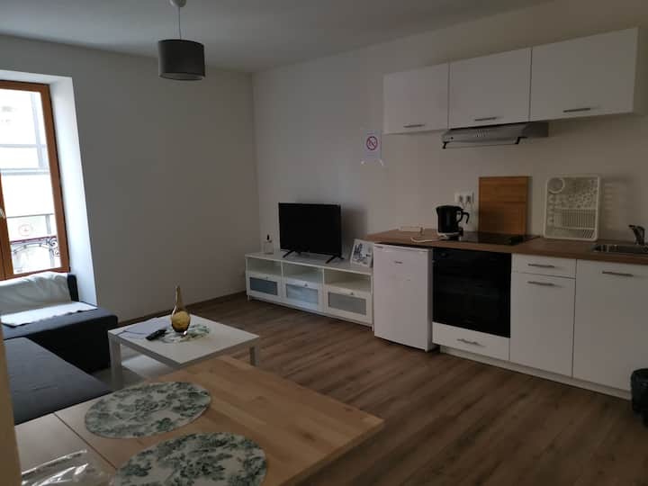 Strasbourg Centre Beau Appartement 2 Pièces - ストラスブール