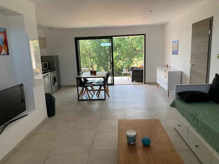 T3 Neuf Avec Piscine à Vescovato Casa L'alivetu 3 - Corse
