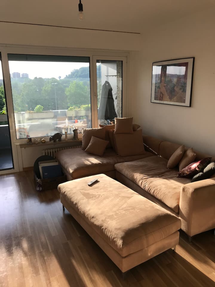 Wohnung In Nächster Nähe Zum Esc Stadion - Basel