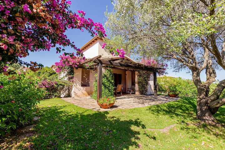 Seaview Refined Sardinian Villa W/ Private Garden - San Teodoro