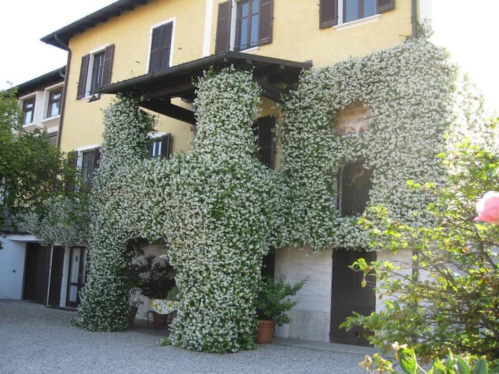 Il Gelsomino - Borgomanero