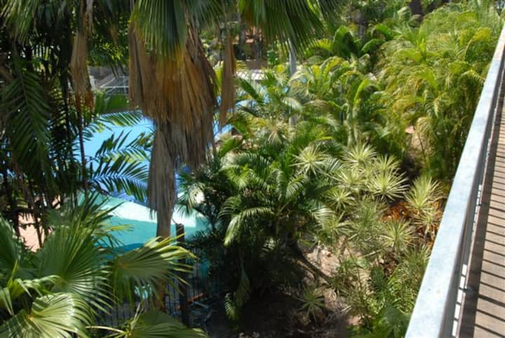 Sweet Spot In Top Nt Beach Suburb - Darwin