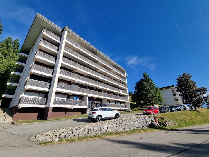 Bel Appartement Avec Une Vue Imprenable. - Allevard