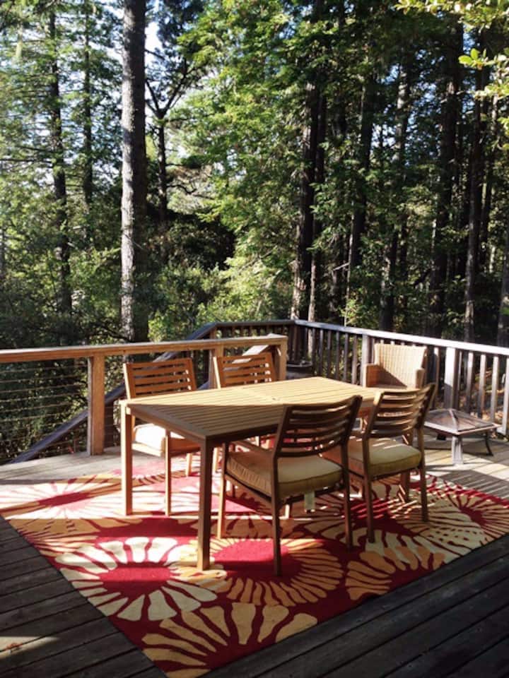 Big, Beautiful, Ocean View  House. - Sea Ranch, CA