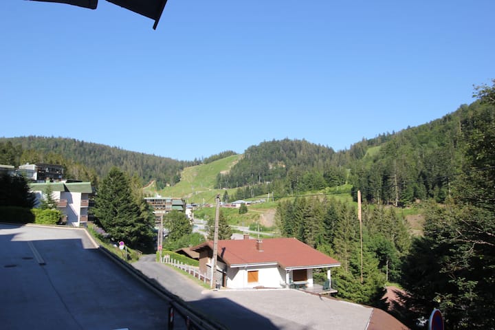 Appartement 50 M² Au Pied Des Pistes - Xonrupt-Longemer