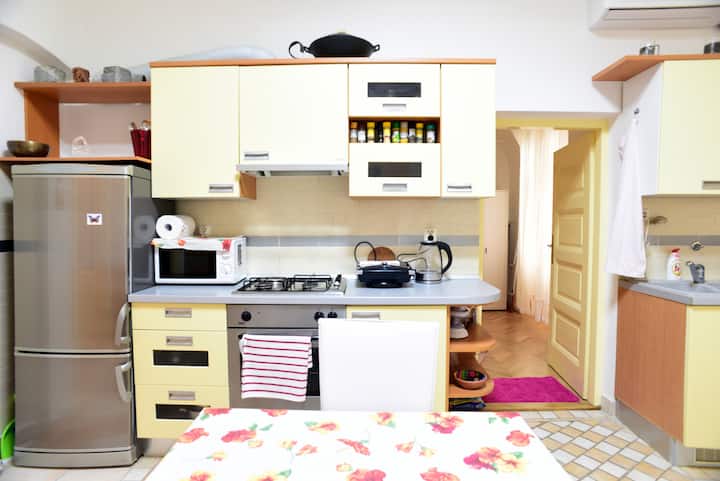 Authentic Apartment In The Center+private Parking - Ljubljana