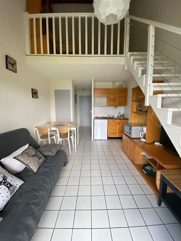 Location 4 Personnes à Auris/alpes D'huez - Auris