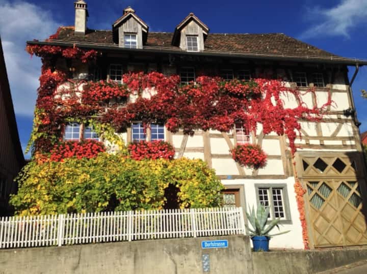 Superior Family Apartment - Schaffhausen