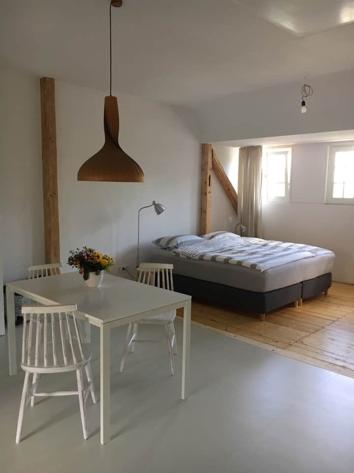 Helle, Luftige Dachetage In Wilhelmshöhe (2 Zkb) - ドイツ カッセル