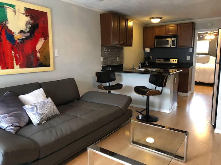 #3 Montrose Getaway - Houston, TX