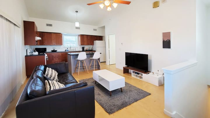 Huge Apt. Private Yard W/light Rail Access Pets Ok - Houston, TX