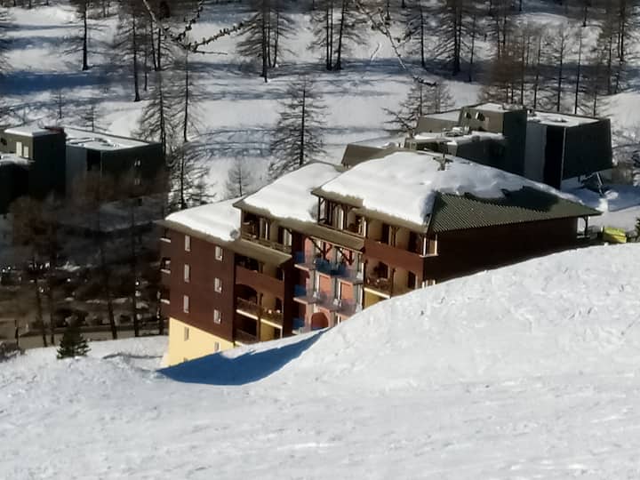 A "La Foux D'allos"  Montagne Et Lumière . - Allos