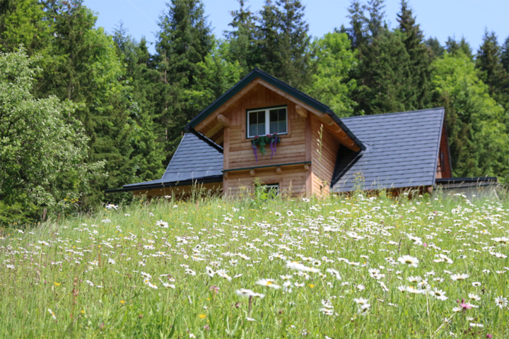 "Forstauer`s Teichalm" - Hochkar