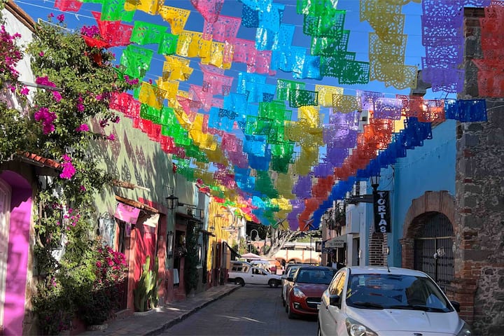 ¡Casa Ideal Tequisquiapan: Los Mejores Viñedos! -