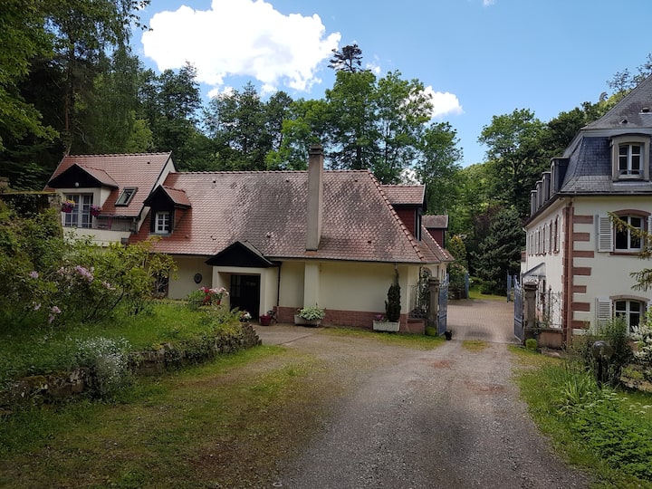 Cœur De L'alsace, Mont Ste Odile, Route Des Vins - Le Hohwald