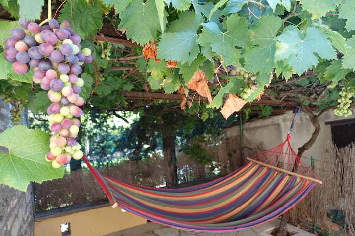Casa Della Nonna Anna - Mount Amiata