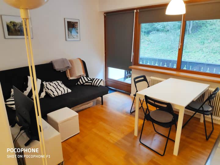 Relax Apartement Haus Lungau Ii-2 - Saalbach-Hinterglemm