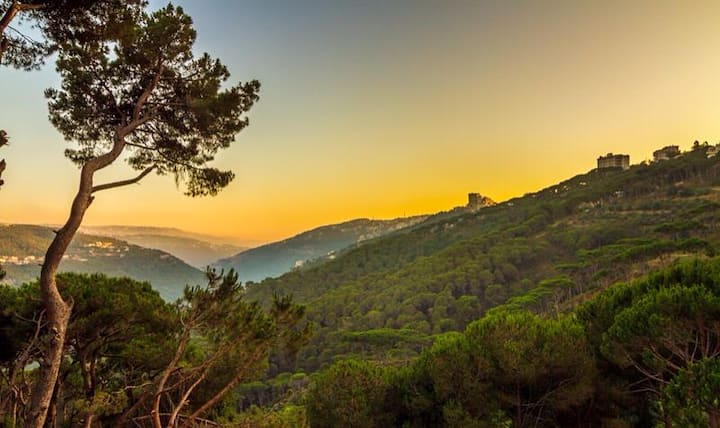 Pineville Lebanon 1 Bedroom Chaletr - Lebanon