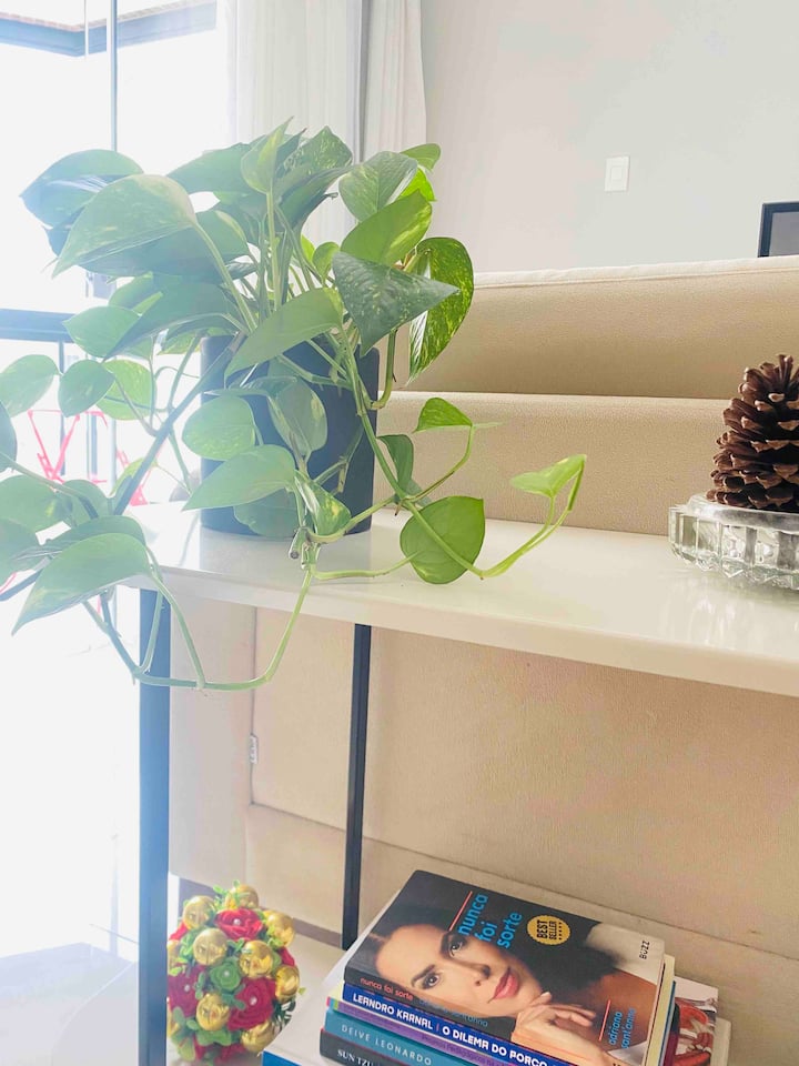 Apartamento 402 . - Blumenau