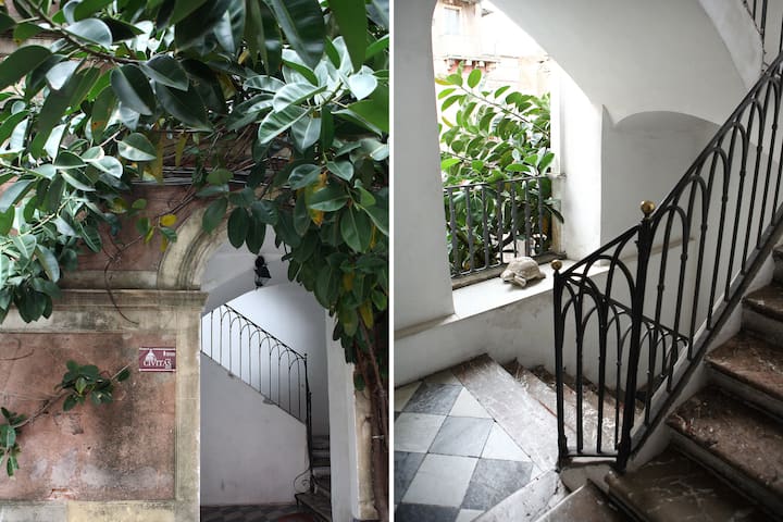 Beautiful Centric Apartment Catania - Catania