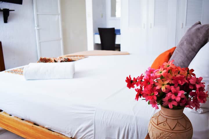 Caribbean View, Beach Front Suite - Puerto Morelos